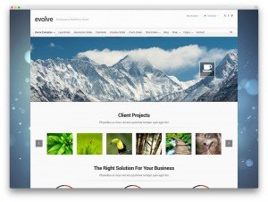 50+ Beautiful Parallax Scrolling WordPress Themes