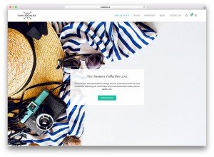 50+ Beautiful Parallax Scrolling WordPress Themes