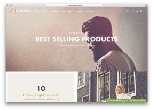 Ecommerce WordPress Themes for Business - MageeWP
