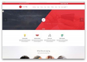 Business WordPress Themes for Ecommerce - MAGEEWP